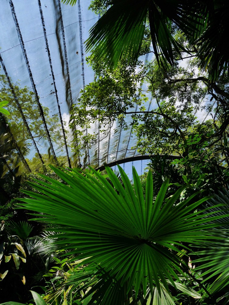 The Fragile Forest | The Simple Reflections